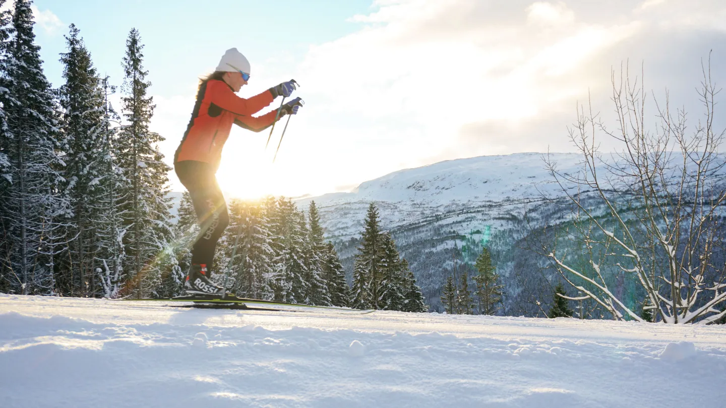 Voss ski- and hiking center | Visit Voss